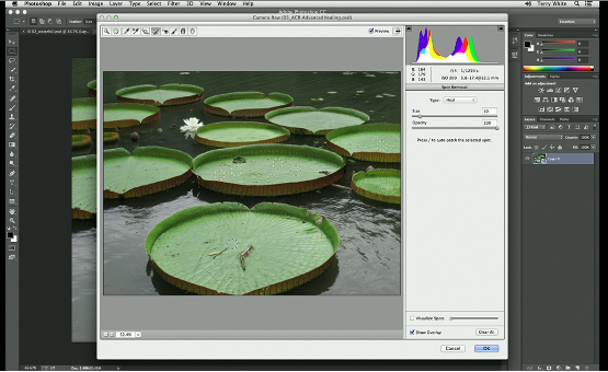 Simple Adobe Photoshop Effects | Digital Design, Fort Collins, Online